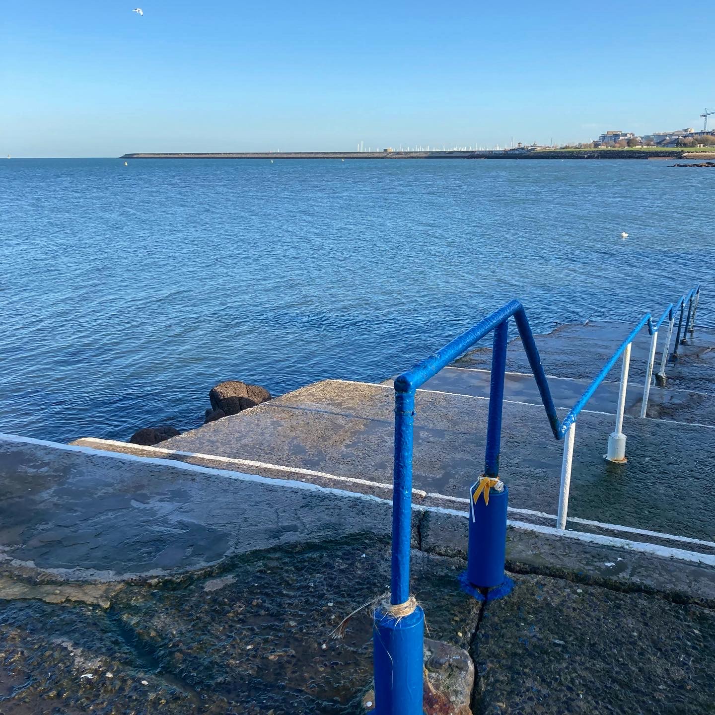 First Swim in the Sea - in November - wash your language